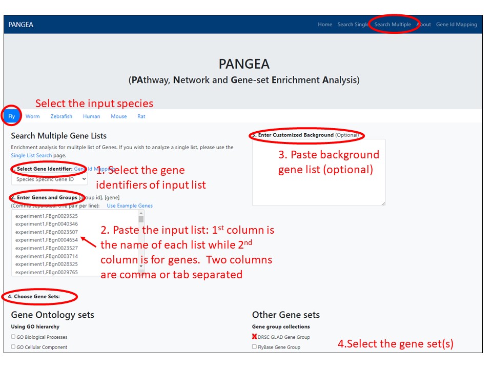Pangea - PAthway, Network and Gene-set Enrichment Analysis